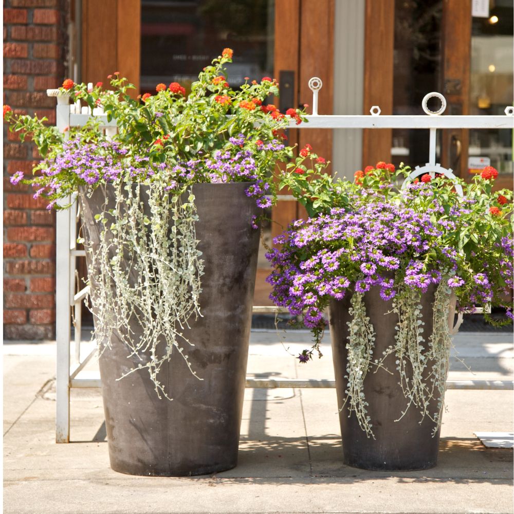 Concrete Planters – Moda Furnitures